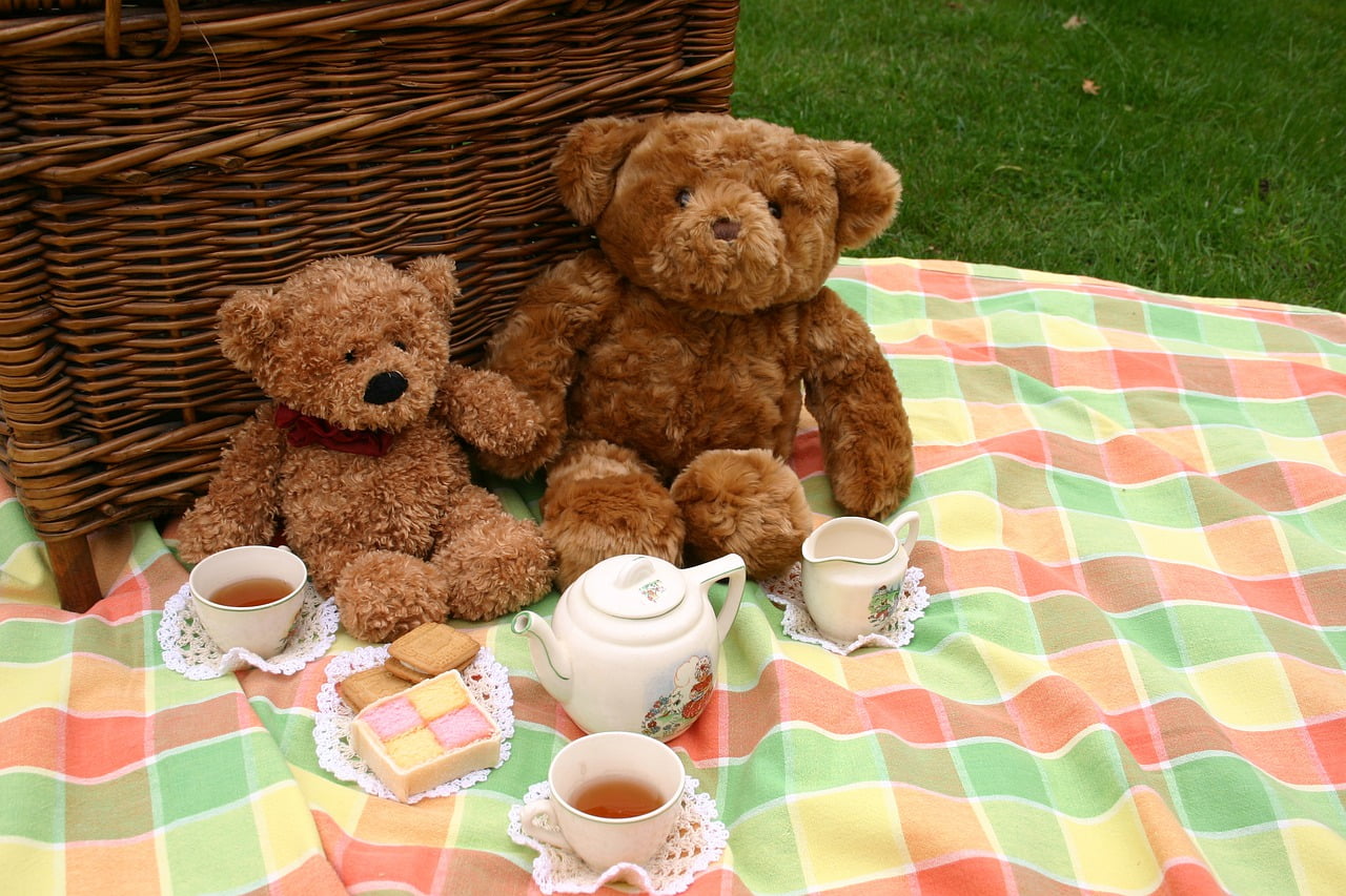 What is a Teddy Bears Picnic and How Does it Work?